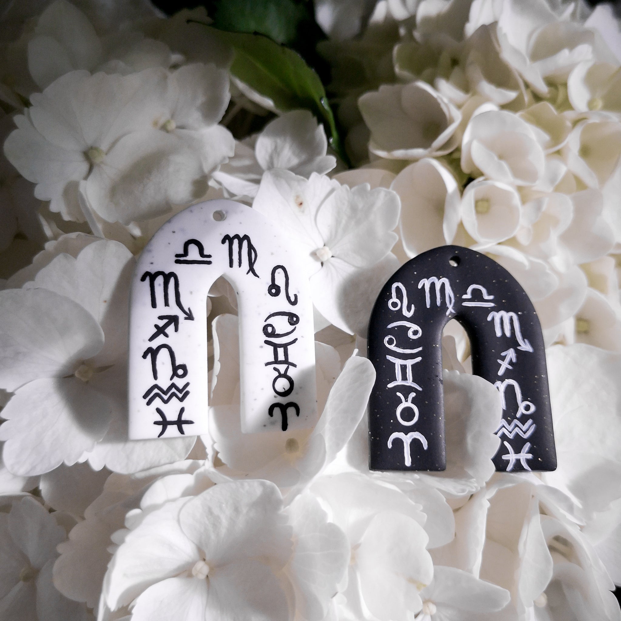 Zodiac – moth & moon